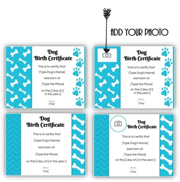 FREE Editable Printable Dog Birth Certificate Dog Adoption Certificate
